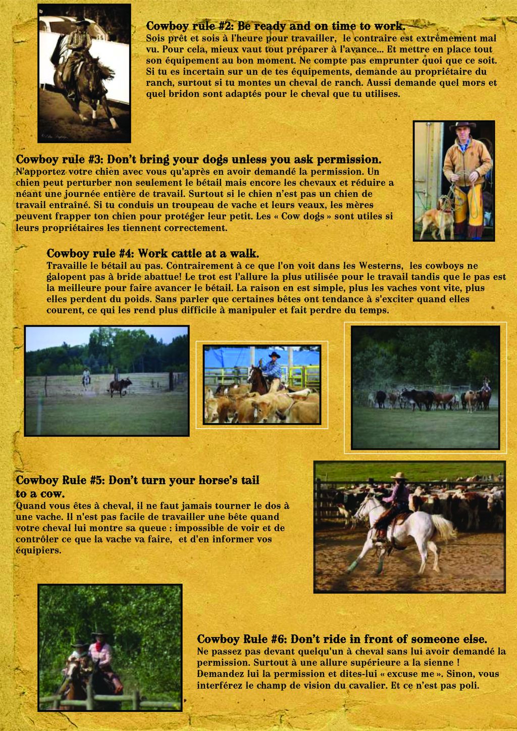 Valeurs et traditions des COWBOYS - HR Ranch